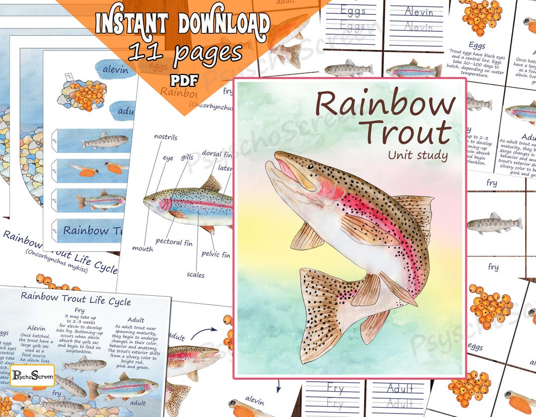 Watercolor Rainbow Trout Anatomy and Life Cycle for Kids (digital ...