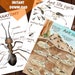 ANT Unit Study MEGA Printable Ants Bundle Ant Anatomy - Etsy Canada
