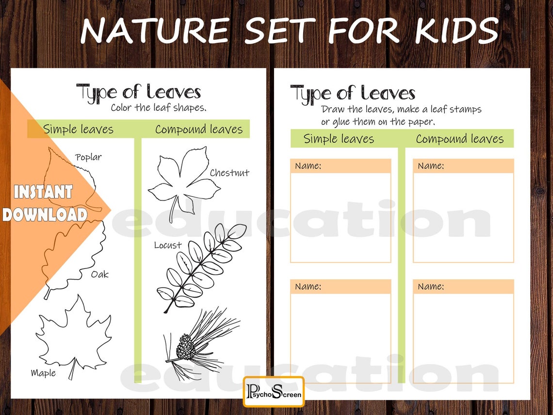 Nature set Worksheets for trees leaves flowers Plant | Etsy