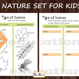 Nature Set Worksheets for Trees, Leaves, Flowers, Plant Lovers Gift ...