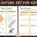 Nature Worksheets for Kids: Trees, Leaves, Flowers (digital Download ...