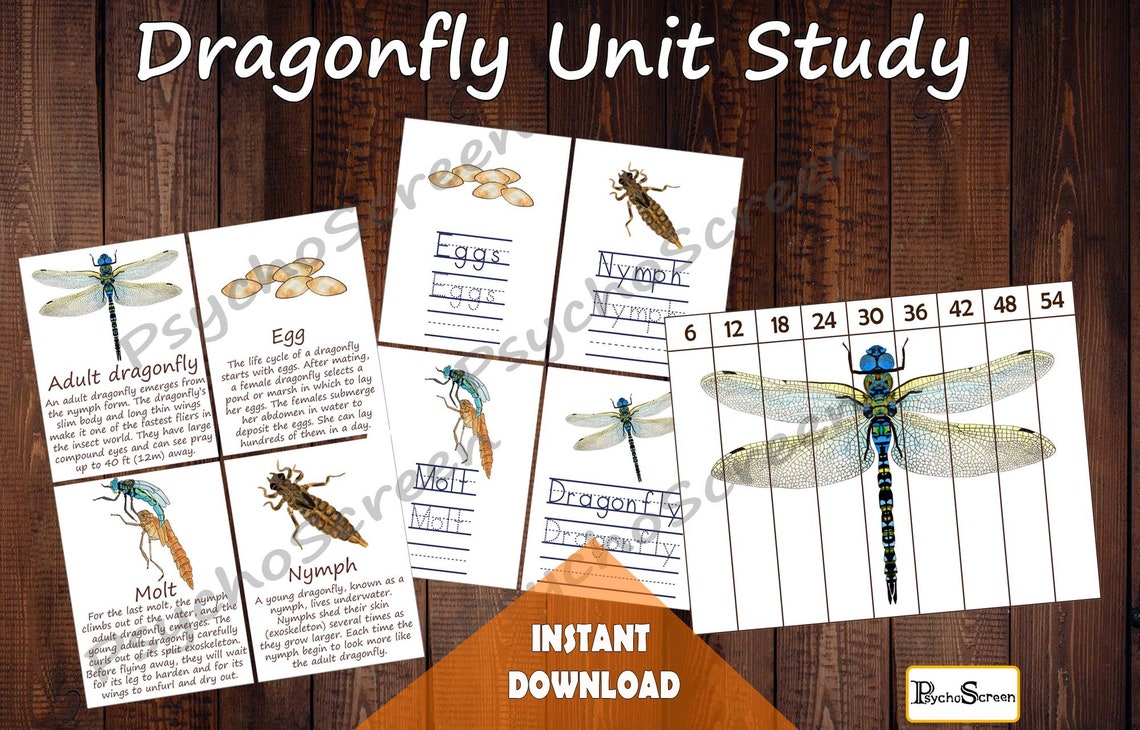 DRAGONFLY Unit Study MEGA Printable dragonflies bundle | Etsy