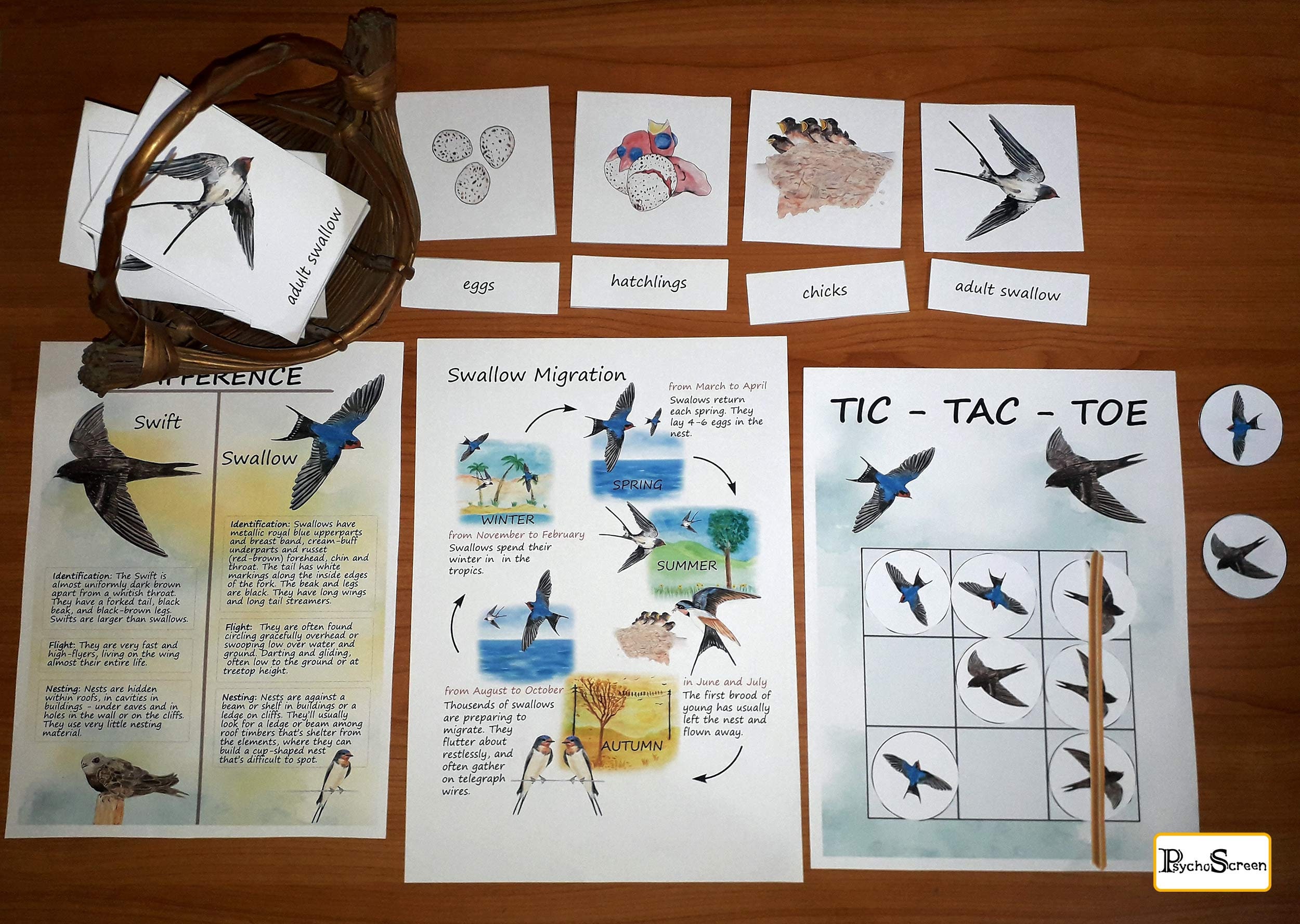 Swallow Unit Study MEGA Printable Swallows Bundle Barn | Etsy