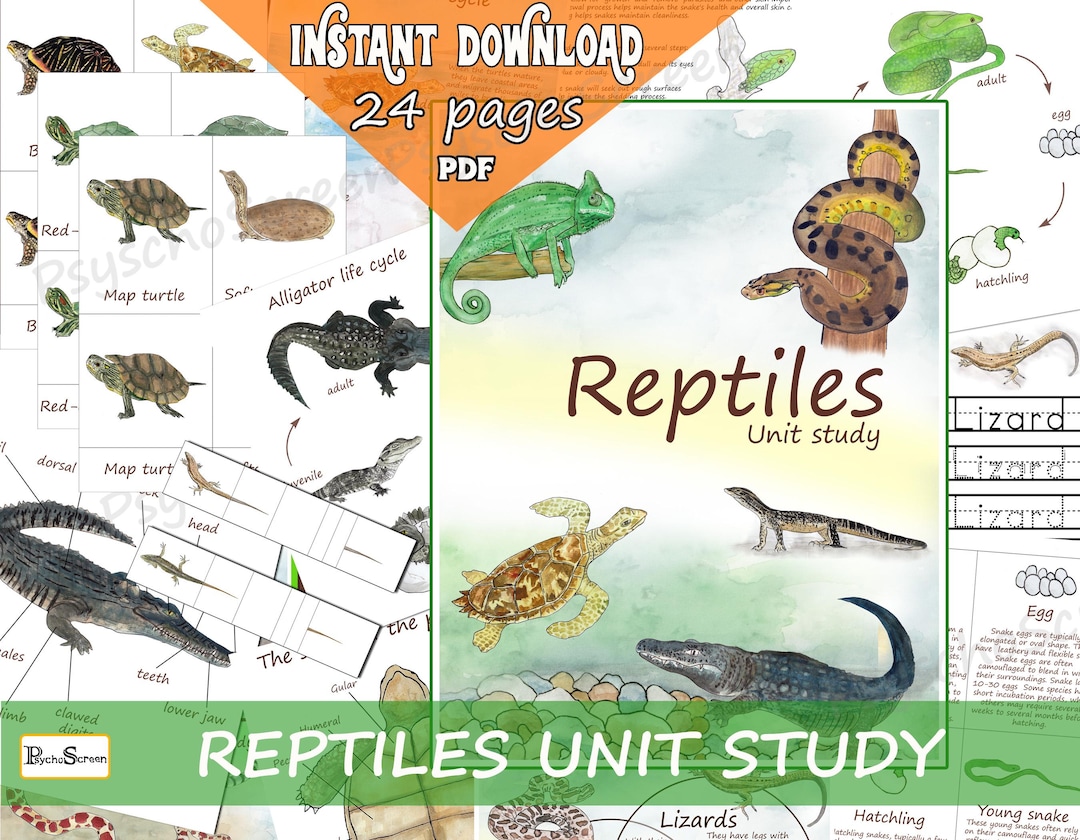 Reptile Unit Study Bundle: Snakes, Turtles, Lizards, Crocodiles ...