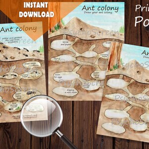 Watercolor Ant Nature and Unit Study for Kids: Anatomy & Life Cycle ...