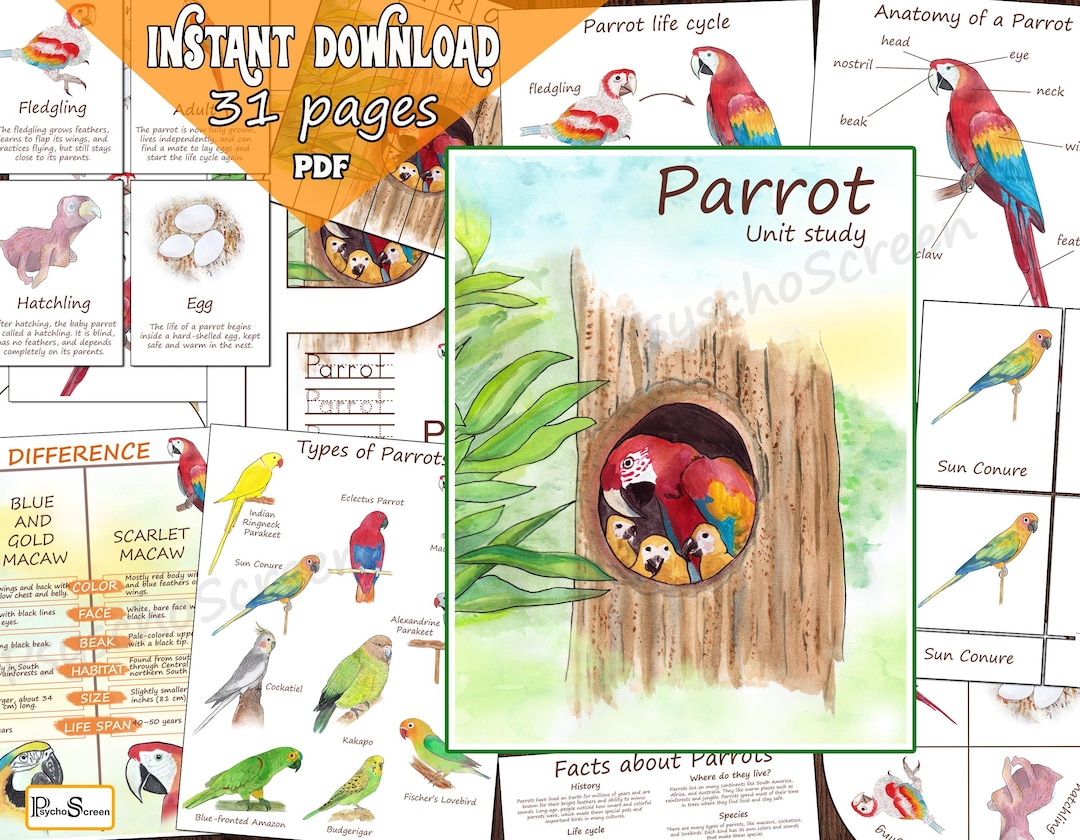 Watercolor Parrot Unit Study for Kids: Anatomy, Life Cycle, Montessori ...