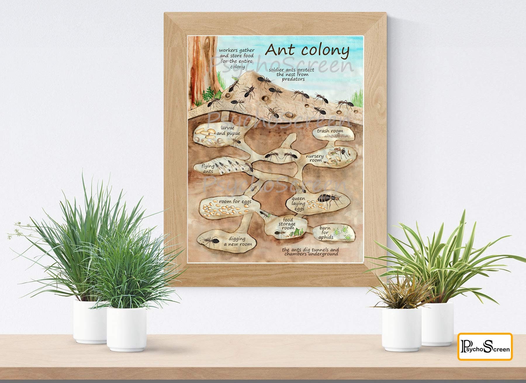 ANT Unit Study MEGA Printable ants bundle Ant anatomy | Etsy