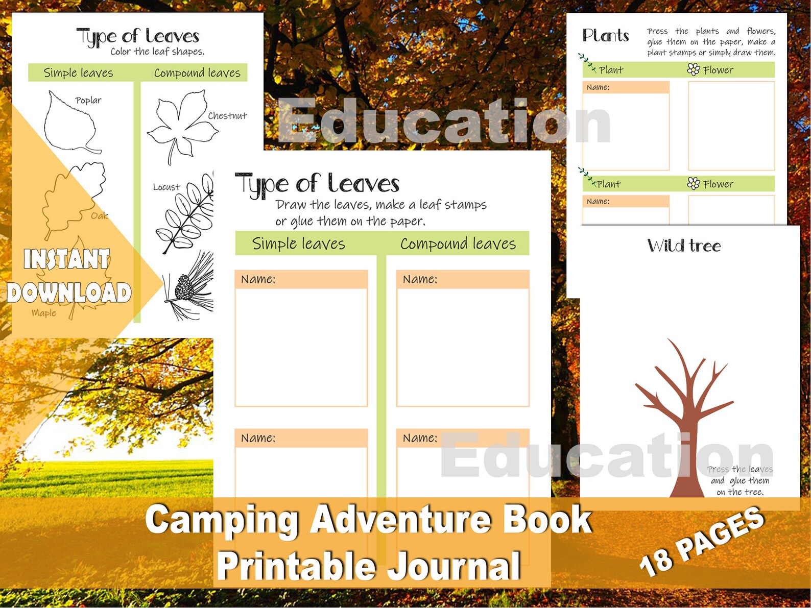 My Camping Adventure Book Activity Worksheets for Camp - Etsy