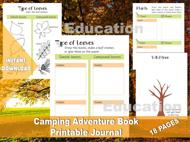 My Camping Adventure Book Activity Worksheets for Camp - Etsy