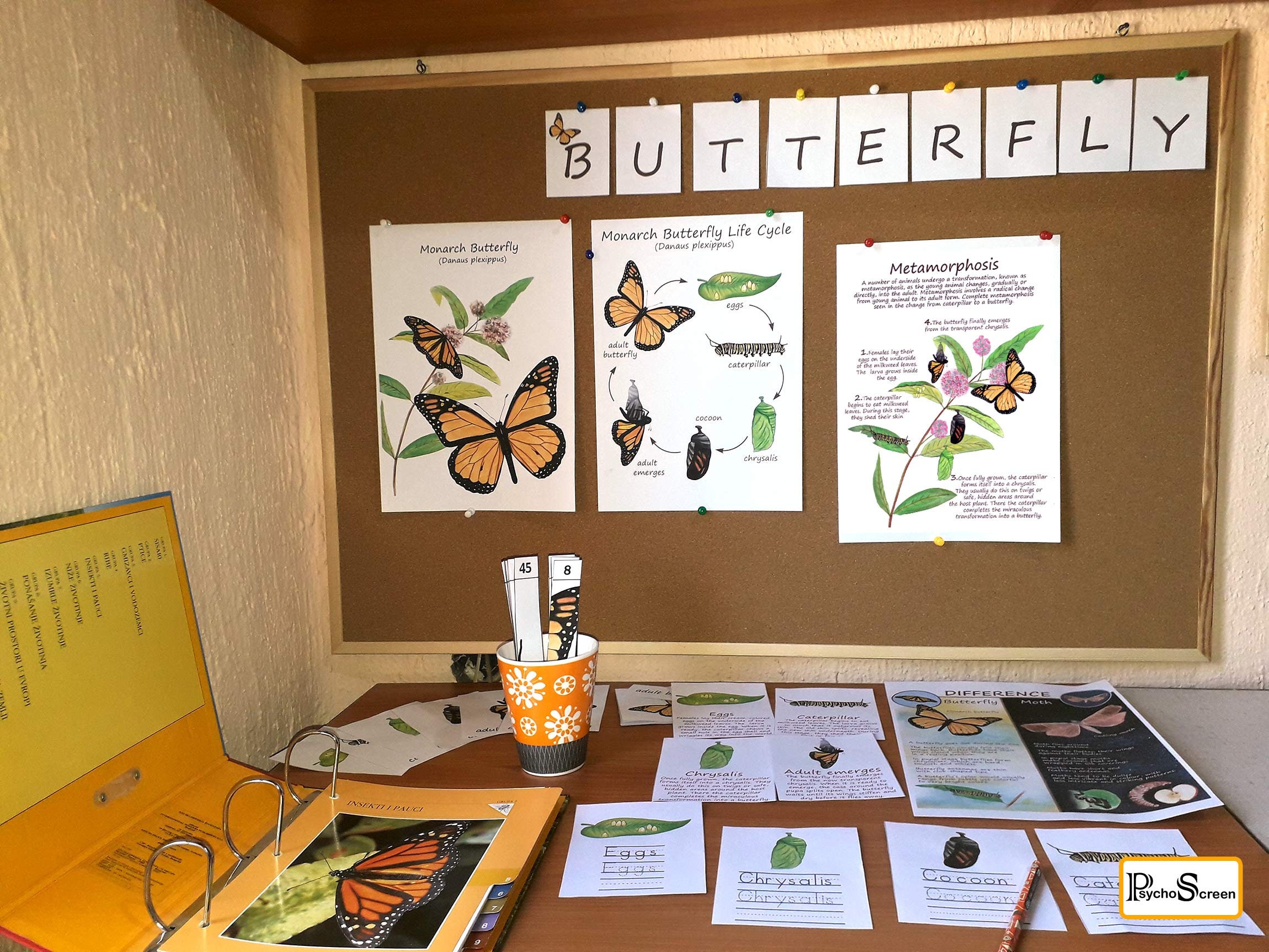 Monarch Butterfly Unit Study: Anatomy, Life Cycle, Montessori ...