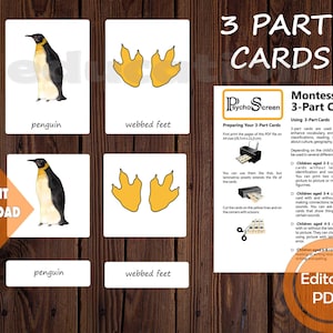 PENGUIN Unit Study: MEGA Printable Bundle With Anatomy, Diagram ...