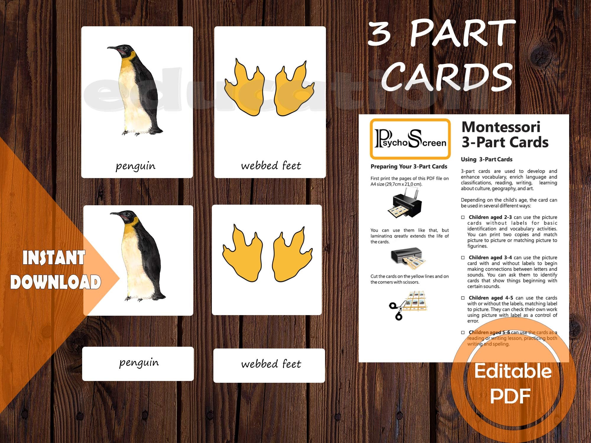 PENGUIN Unit Study MEGA Printable bundle Anatomy diagram | Etsy