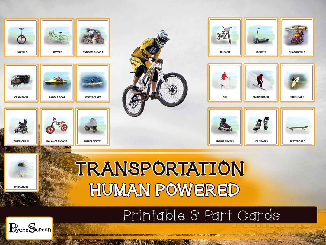 VEHICLES & VERBS 3-part Cards – Engaging Animal and Human-powered ...