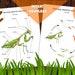 5 NATURE SETS Bundle of Insects Anatomy and Life Cycle - Etsy