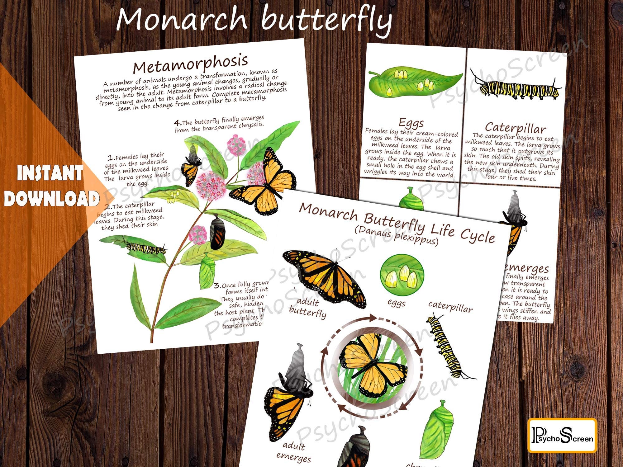 CATERPILLAR Unit Study MEGA Printable Caterpillar Bundle | Etsy