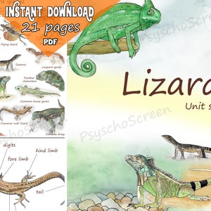 Lizards Unit Study: Anatomy, Life Cycle, Montessori Activities (PDF ...