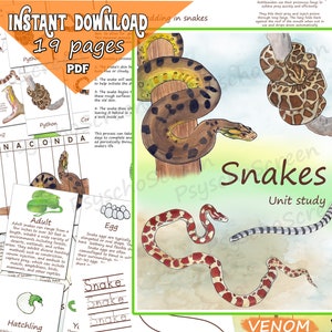 Snake Species Poster - Etsy