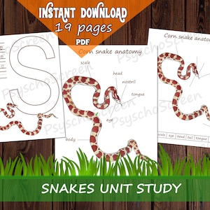 SNAKES Unit Study, Printable Bundle With Anatomy, Diagram, Life Cycle ...