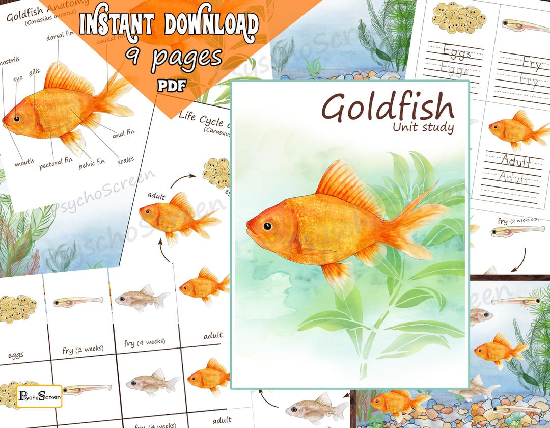 GOLDFISH Unit Study, Printable Fish Bundle With Anatomy, Life Cycle ...