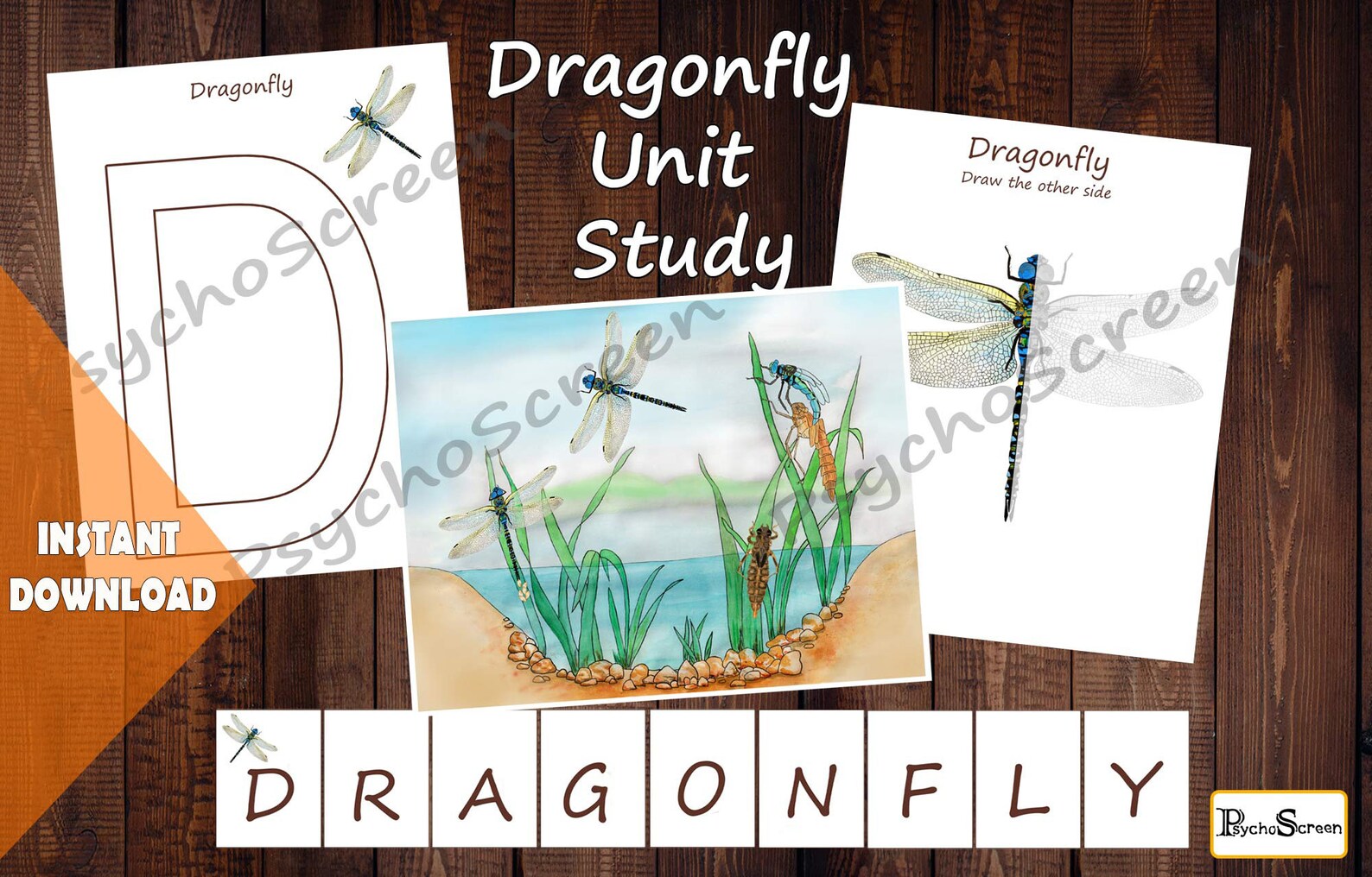 DRAGONFLY Unit Study, MEGA Printable Dragonflies Bundle for Anatomy ...