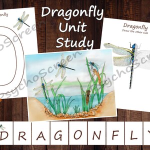 DRAGONFLY Unit Study, MEGA Printable Dragonflies Bundle for Anatomy ...