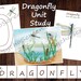 DRAGONFLY Unit Study, MEGA Printable Dragonflies Bundle for Anatomy ...