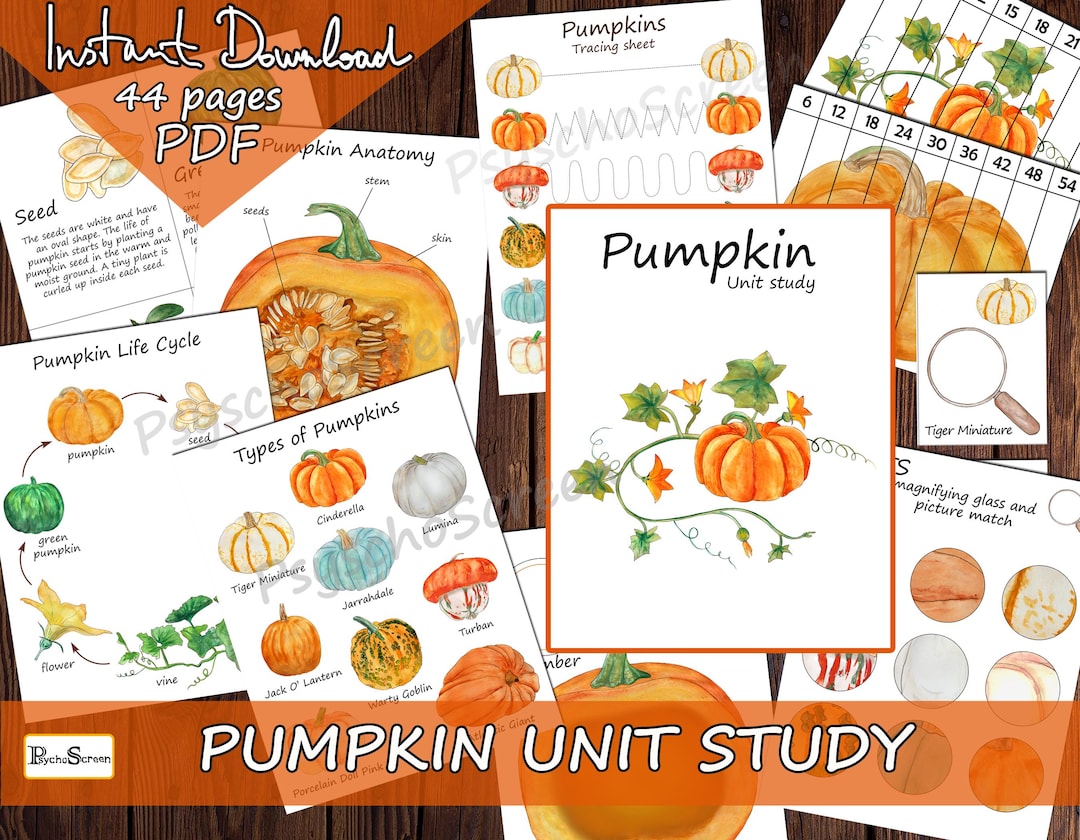 PUMPKIN Unit Study, MEGA Printable Pumpkins Bundle, Anatomy Set ...