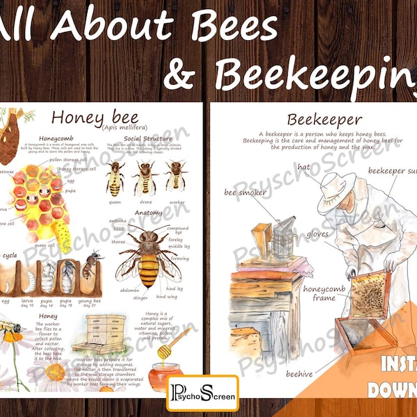 Honey Bee Unit - Etsy