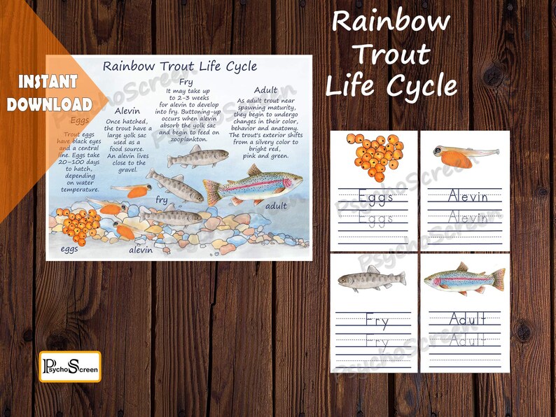 RAINBOW TROUT Unit Study MEGA Printable Fish Bundle | Etsy