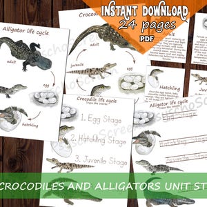 CROCODILES and ALLIGATORS Unit Study, Printable Bundle With Anatomy ...