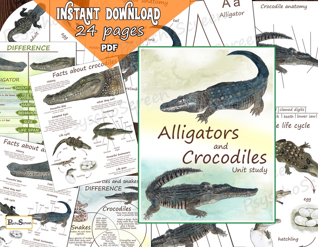CROCODILES and ALLIGATORS Unit Study, Printable Bundle With Anatomy ...