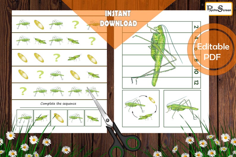 GRASSHOPPER Unit Study MEGA Printable Bundle Anatomy Life | Etsy