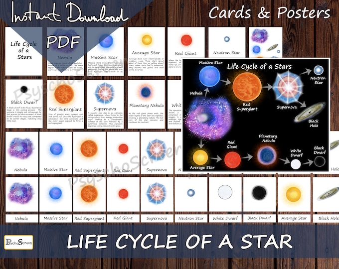 Life Cycle of an Average Star Story of Creation 3 and 4 Part Cards ...