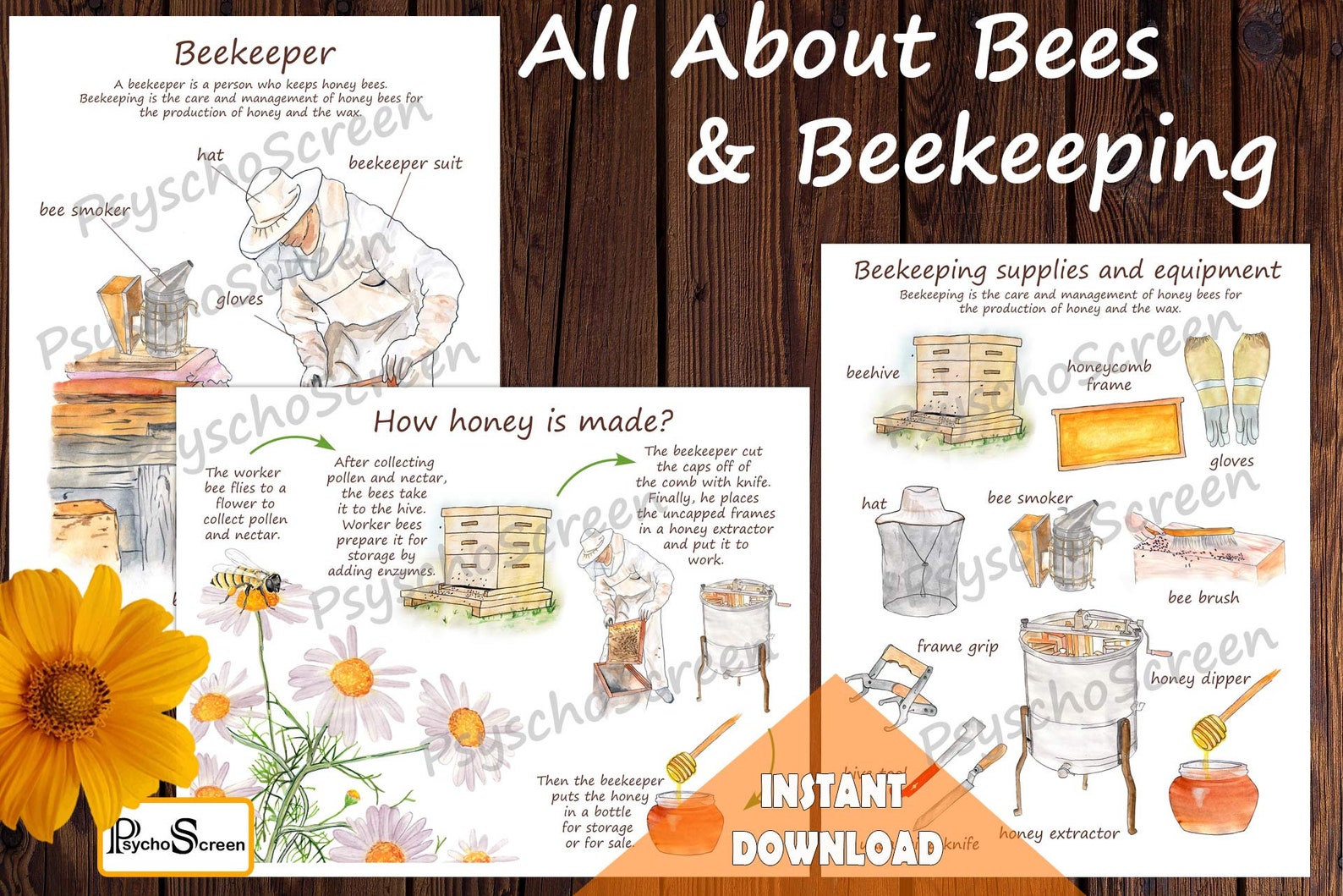 HONEY BEE Unit Study, MEGA Printable Bees Bundle With Anatomy, Life ...