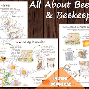 HONEY BEE Unit Study, MEGA Printable Bees Bundle With Anatomy, Life ...