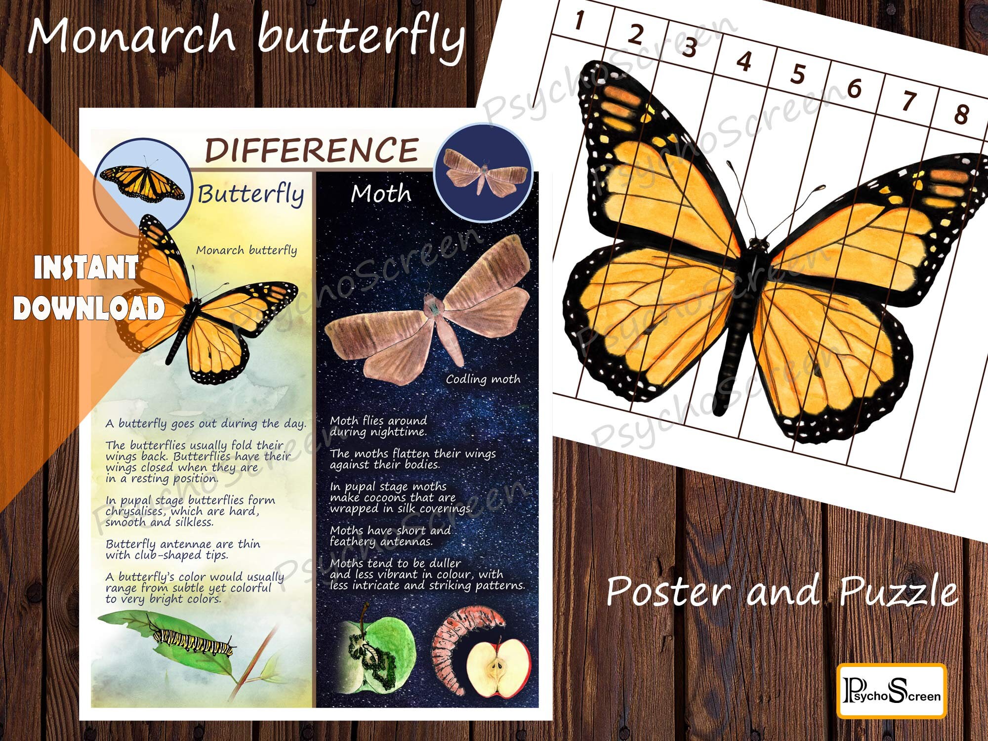 BUTTERFLY Unit Study MINI Printable Butterfly Bundle - Etsy Ireland