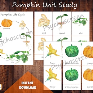 PUMPKIN Life Cycle Unit Study MINI Printable Pumpkins Bundle Poster ...
