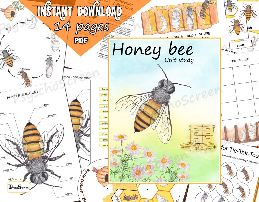 HONEY BEE Unit Study, Printable Bees Bundle With Anatomy, Body Parts ...