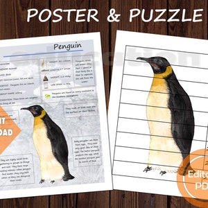 PENGUIN Unit Study: MEGA Printable Bundle With Anatomy, Diagram ...