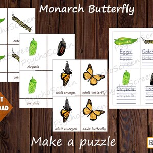 Monarch Butterfly Unit Study: Anatomy, Life Cycle, Montessori ...