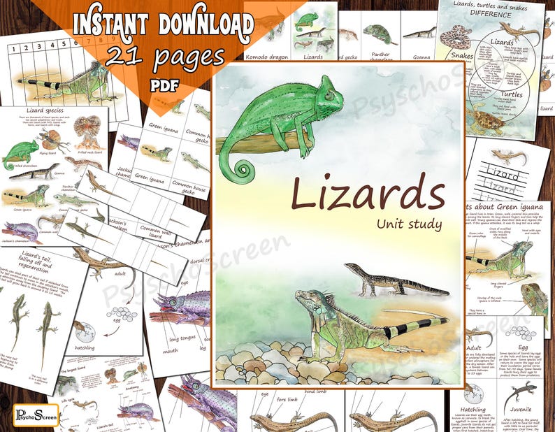 Reptile Unit Study Bundle: Homeschool Science, Snakes, Turtles, Lizards ...
