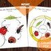 LADYBUG Unit Study, MEGA Printable Ladybugs Bundle With Anatomy ...
