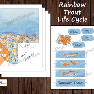 Rainbow Trout Unit Study: Watercolor Anatomy, Life Cycle, 3D Model ...