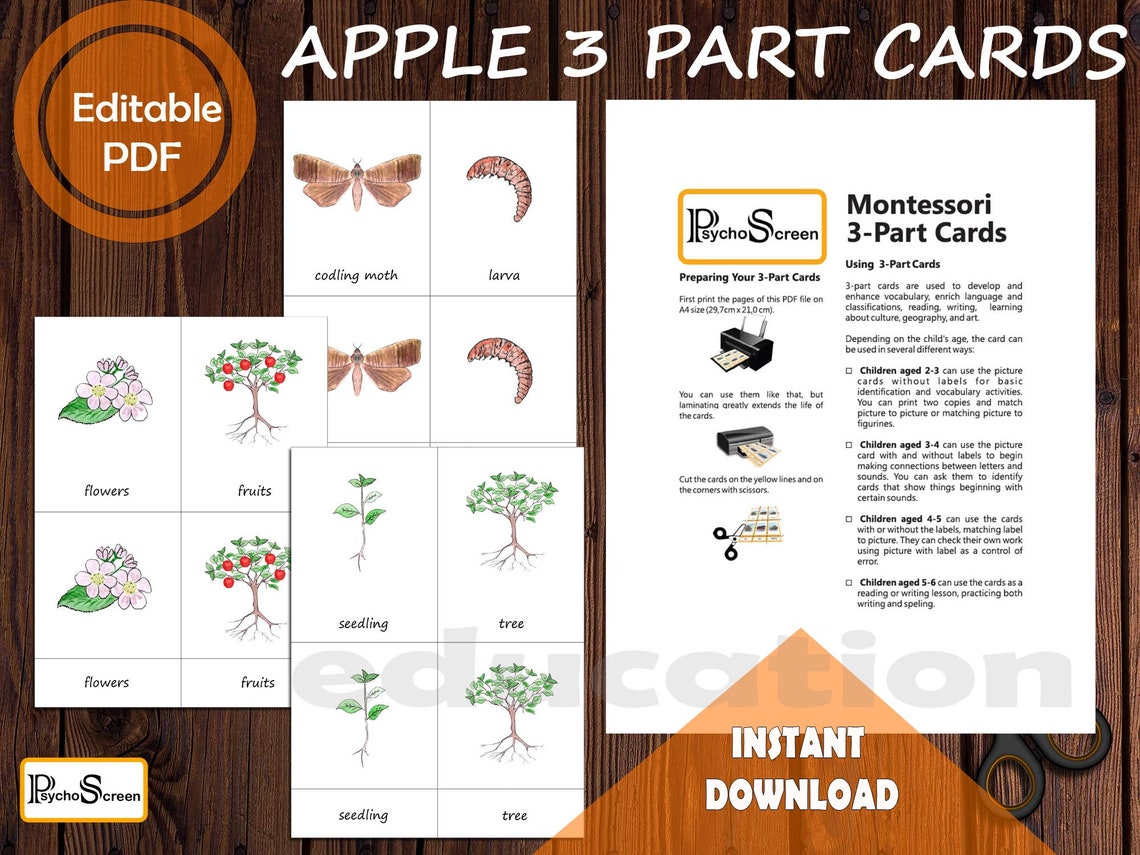 APPLE Unit Study MEGA Printable Apple bundle anatomy | Etsy