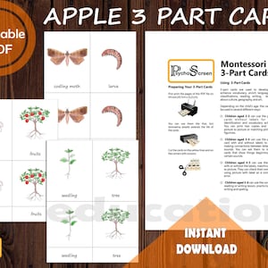 APPLE Unit Study MEGA Printable Apple Bundle Anatomy, Life Cycle, Cards ...