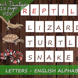 SNAKE Unit Study, Printable Snakes Bundle With Anatomy, Diagram, Life ...