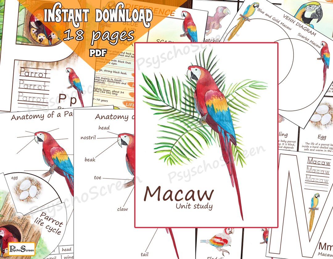 MACAW Unit Study: Printable Macaws Learning Set With Anatomy Posters ...