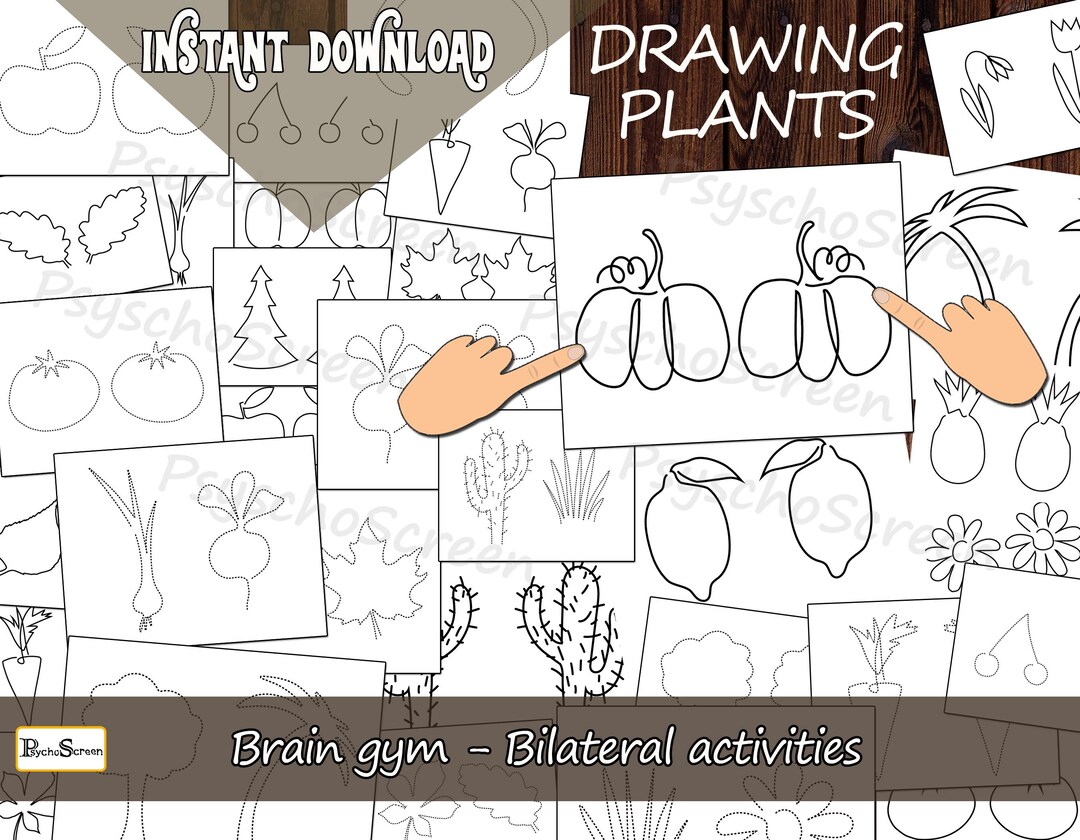 Brain Gyms Drawing Workbook for Kids, Preschool Printable Worksheets ...