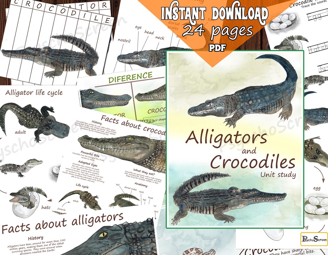 CROCODILES and ALLIGATORS Unit Study, Printable Bundle With Anatomy ...