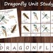 DRAGONFLY Unit Study, MEGA Printable Dragonflies Bundle for Anatomy ...